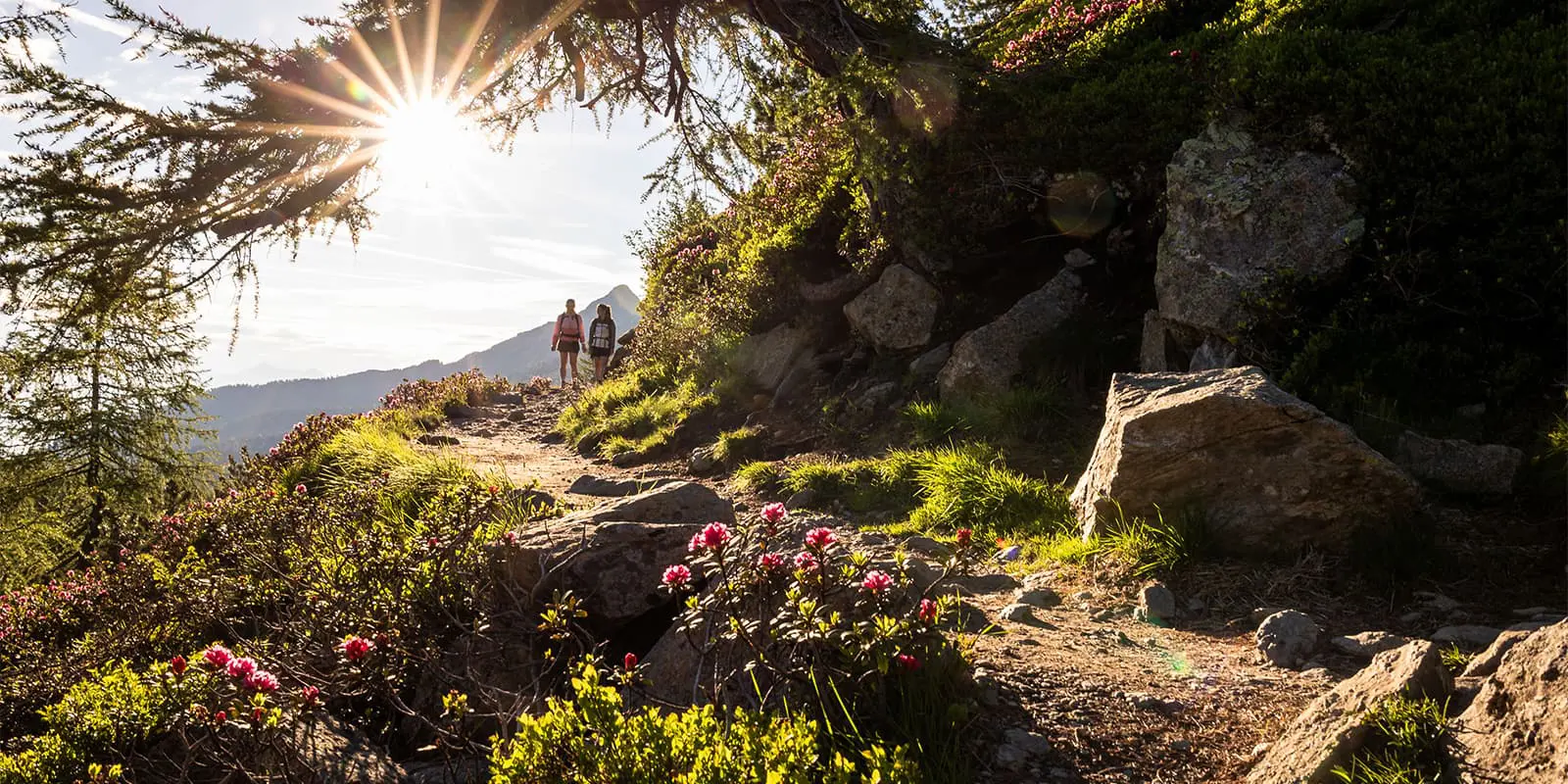 Minett Trail - Hiking Trails