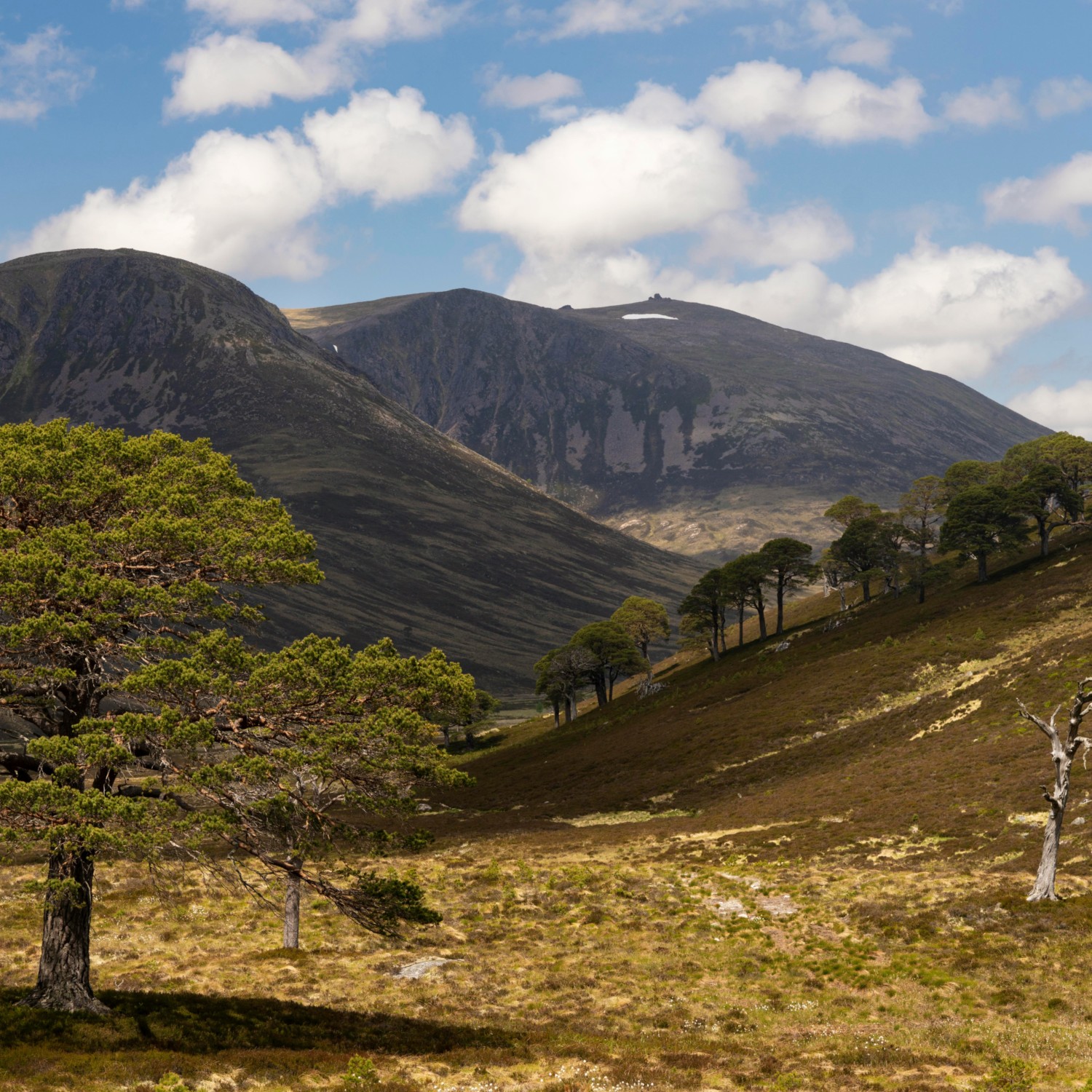 Bagging My First Munro - Hiking Trails