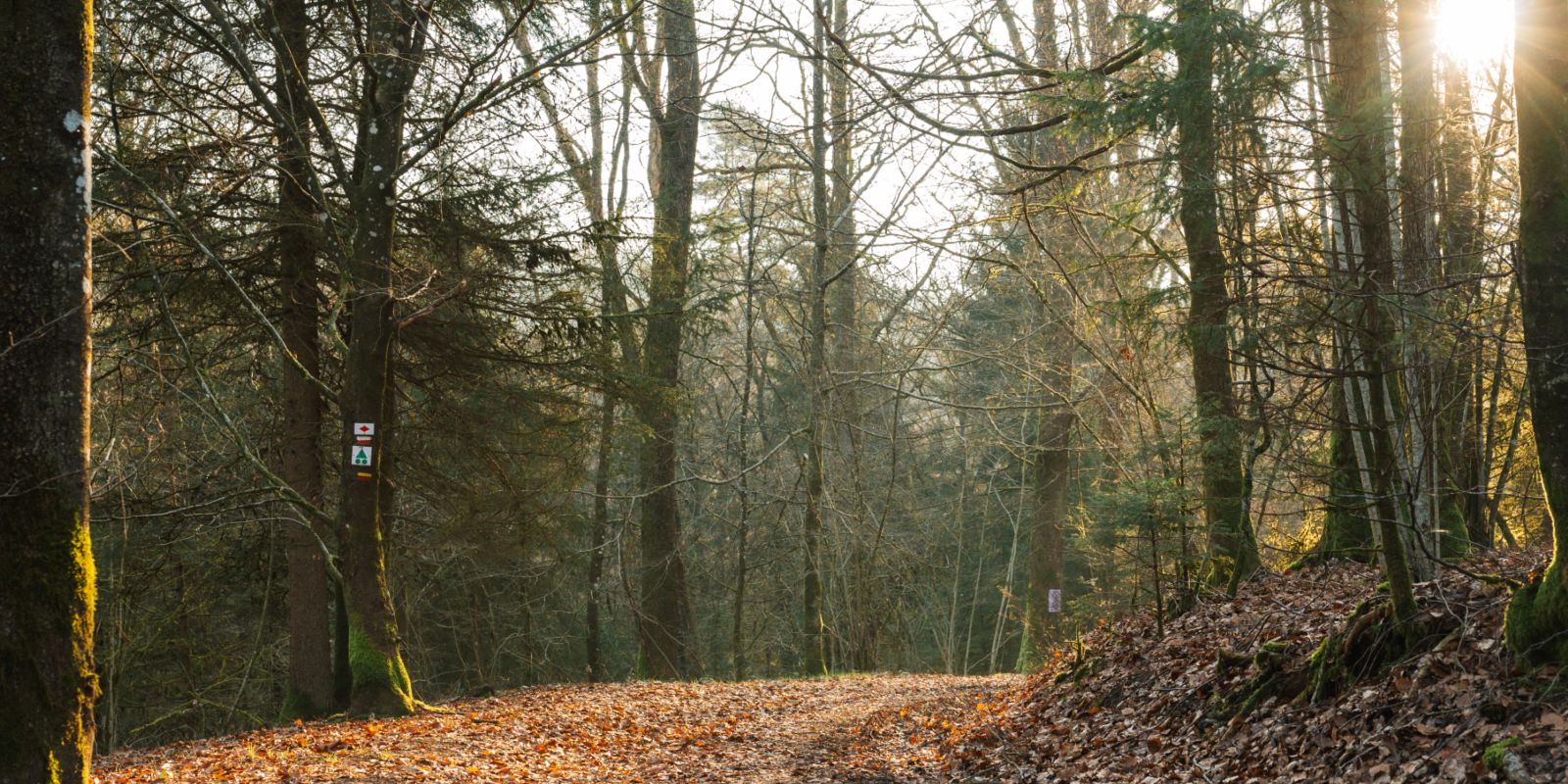 Hiking in Belgium - Hiking Trails